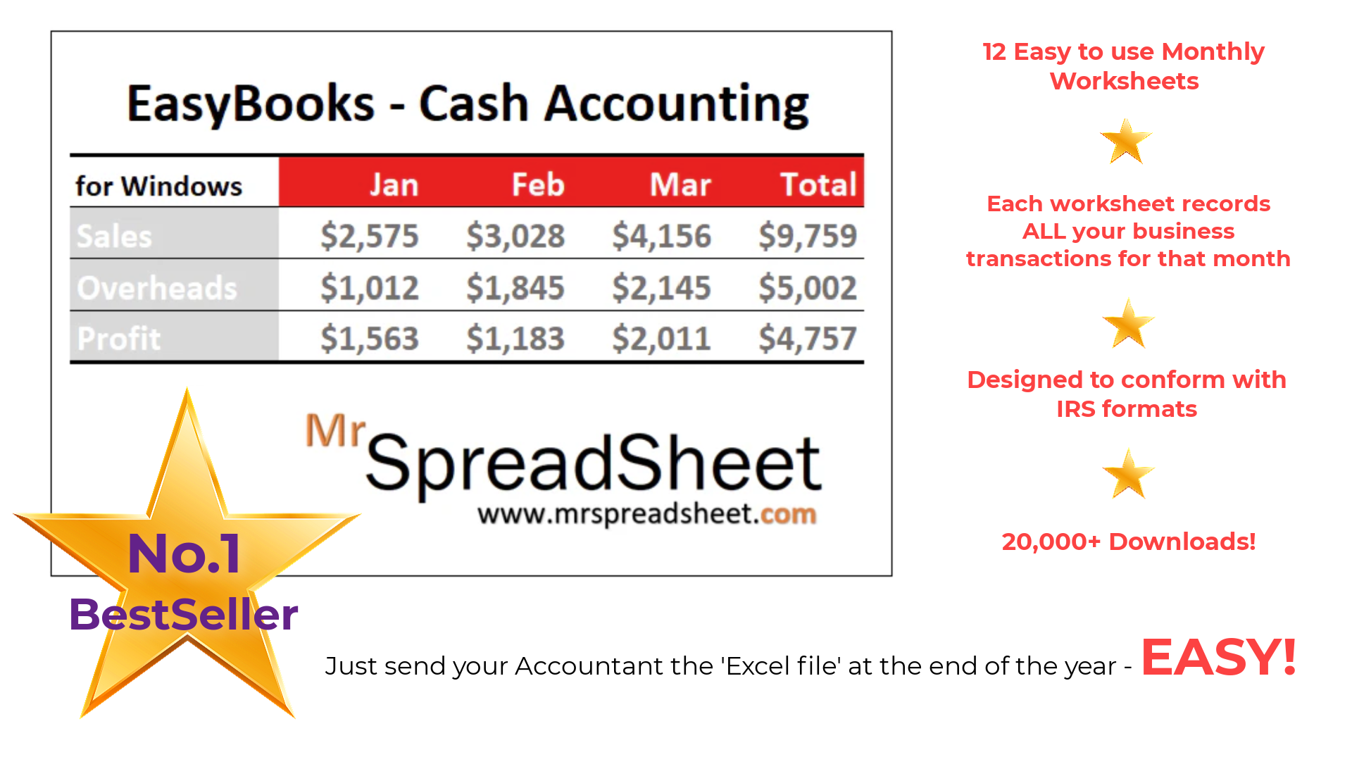 Accounting Spreadsheet - EasyBooks for Windows – Mr.SpreadSheet